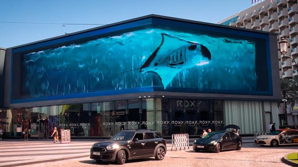 WATCH: Giant fish splashes off screens at Dubai attraction in stunning ...