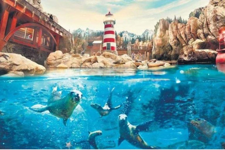 Finding Nemo: Peek into the depths of our planet's oceans at SeaWorld ...