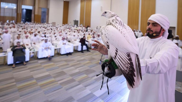 UAE: Rare falcon sells for Dh1 million at Abu Dhabi auction - UAE Times